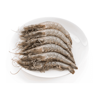Fresh Prawns – Anbar Fish