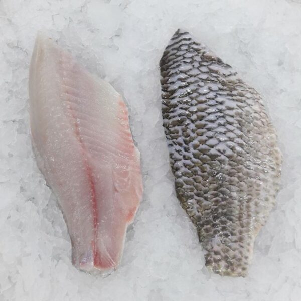 Tilapia Fish Fillet » Anbar Fish